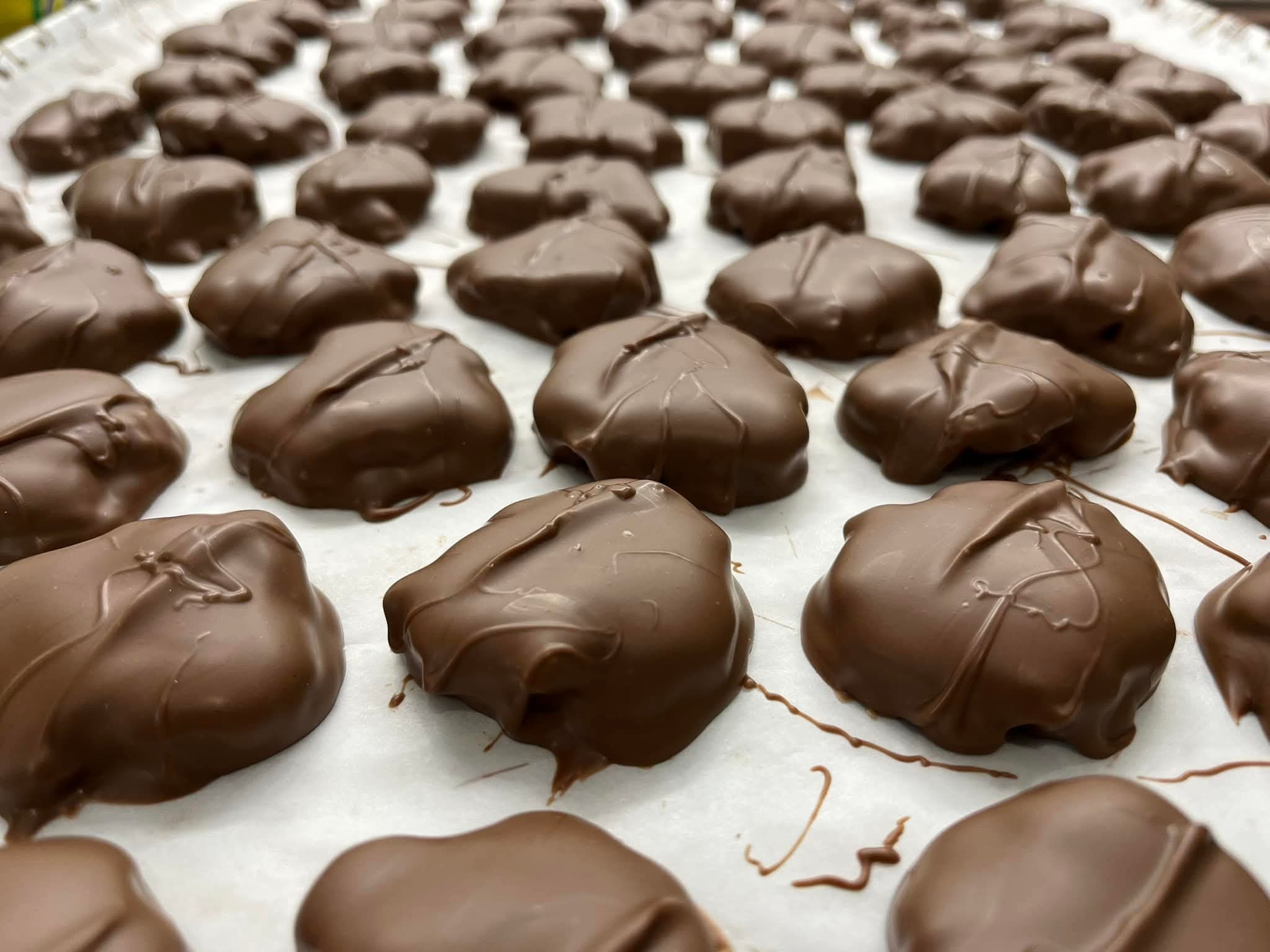 Shop All Turtles | Veni’s Sweet Shop